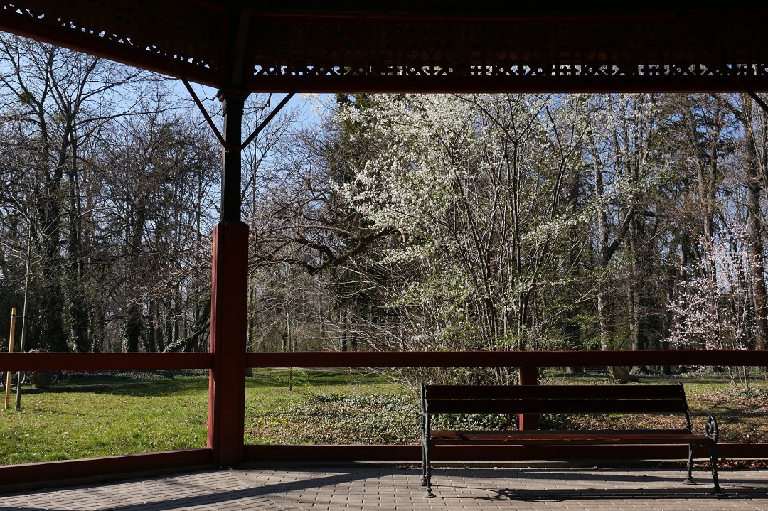 Fotky čitateľa: Jar už prichádza (galéria) | Šamorínčan